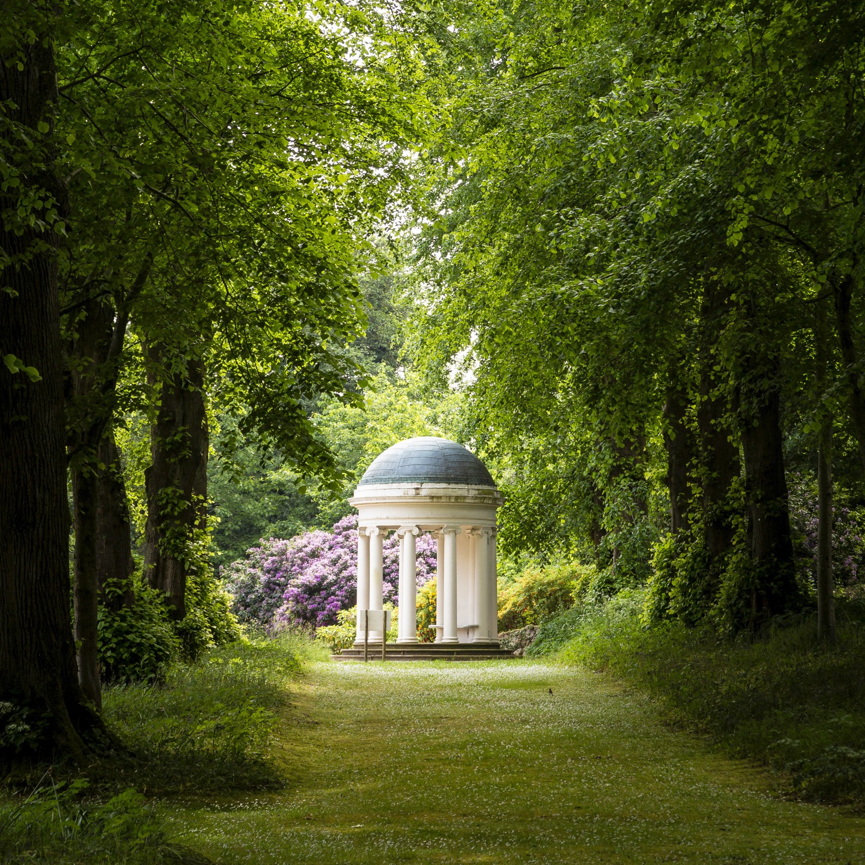 Celebrating Hillsborough Castle's Moss Walk - HRP Blogs